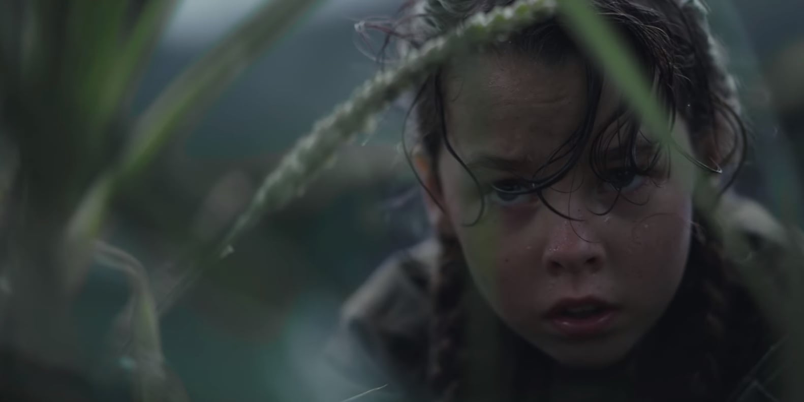 Spoiler Review of the 'Rogue One' Novelization + 15 Things That Are Not ...