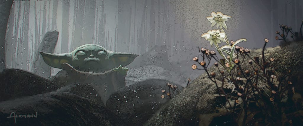 Countdown to The Mandalorian Season 3: Revisiting Chapter 13 The Jedi ...
