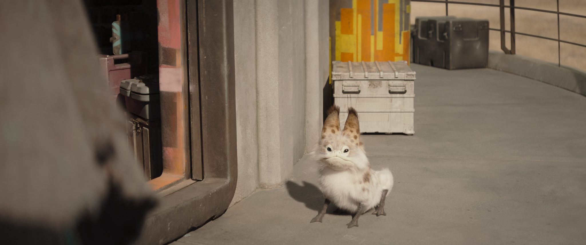 Dave Filoni Confirms That Sabine’s Loth-cat, Murley, Is Alive and Well ...