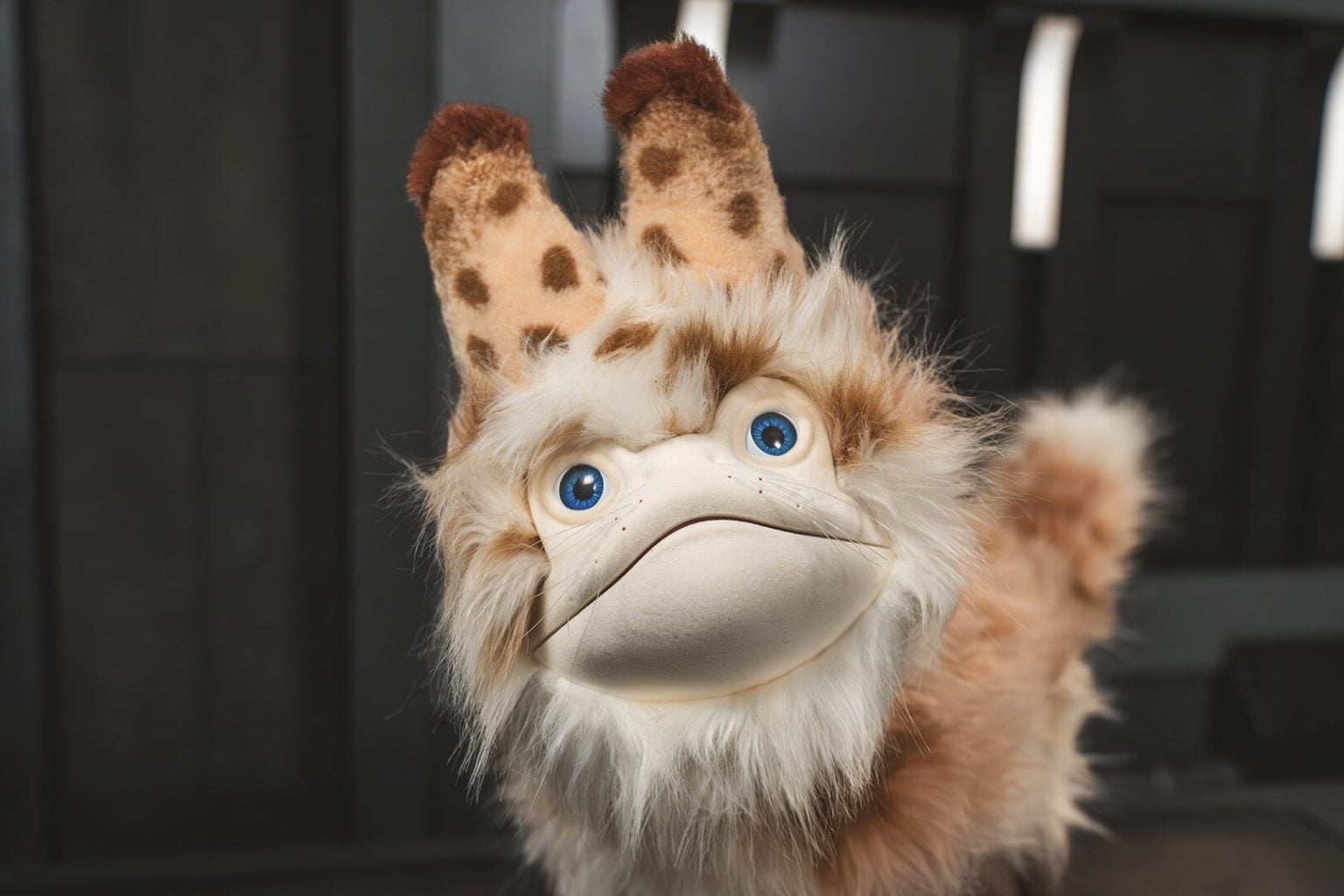 Adopt Your Own Loth-Cat! New "Gift of Galaxy" Collectible Revealed ...