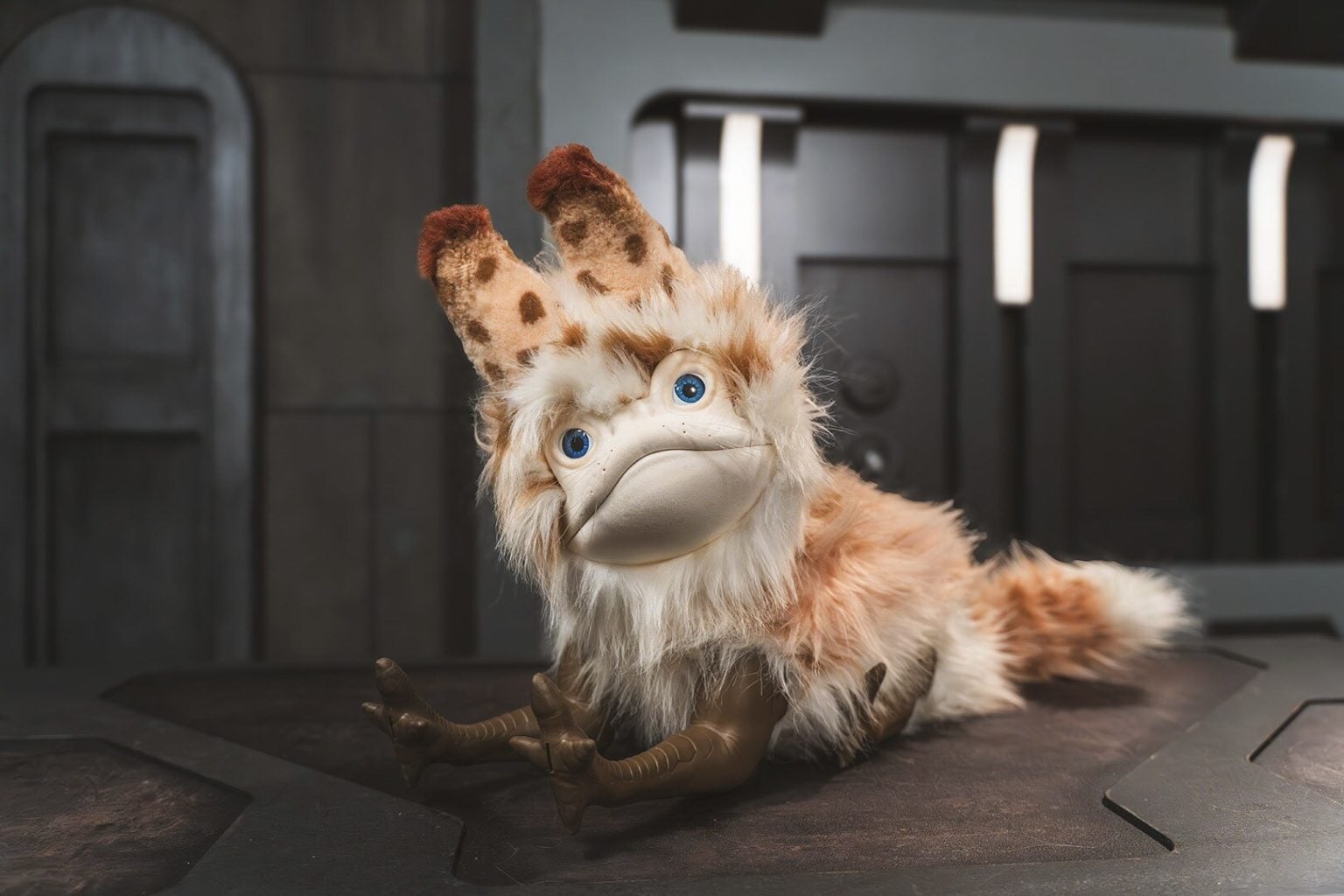 Adopt Your Own Loth-Cat! New "Gift of Galaxy" Collectible Revealed ...